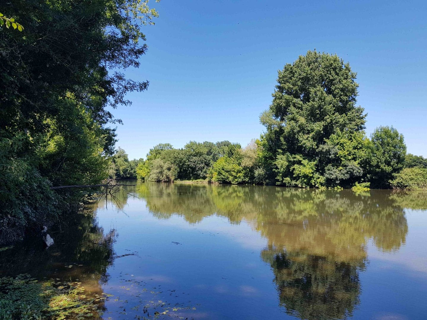L'Isle et ses affluents - Syndicat mixte du bassin de l'Isle