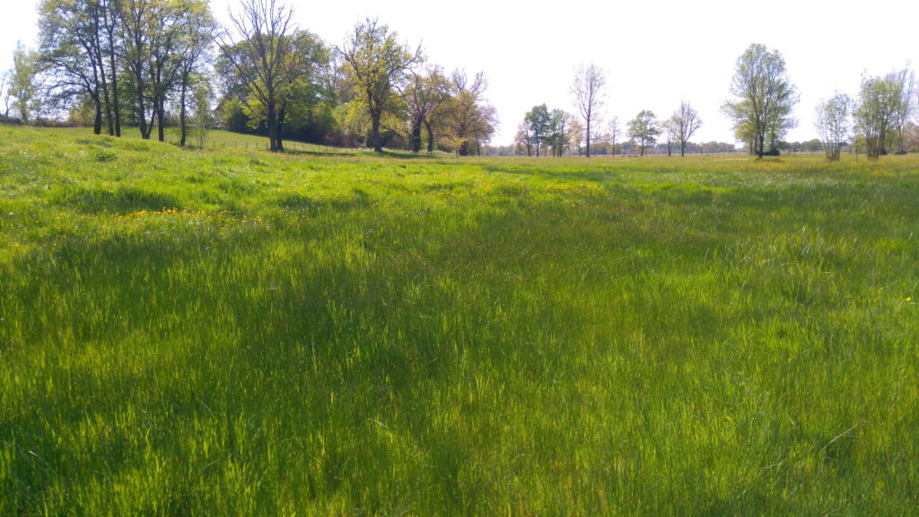 Qu'est ce qu'une zone humide ? - SMBI - bassin-isle.fr